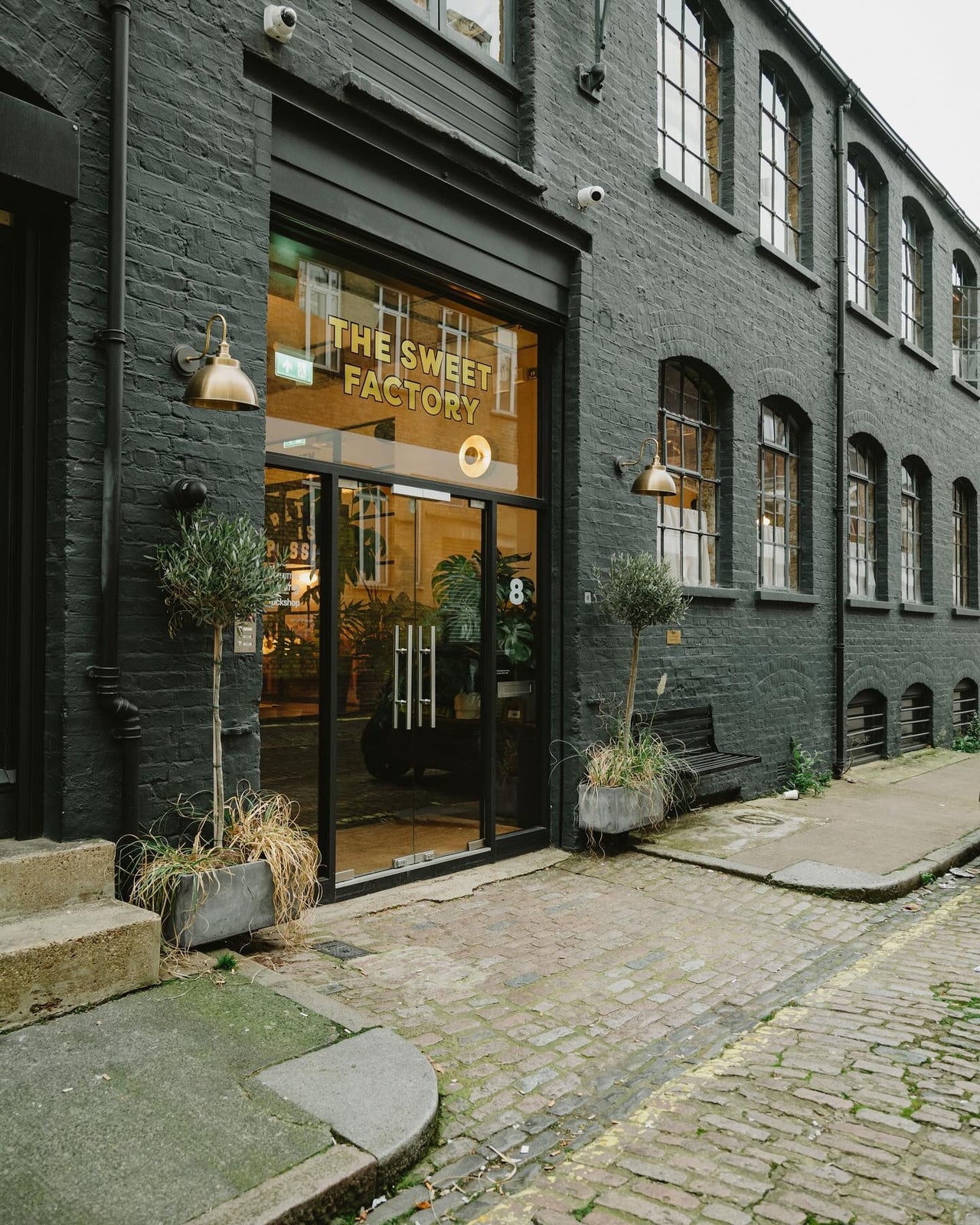 Disco Dreams – Candy Kittens